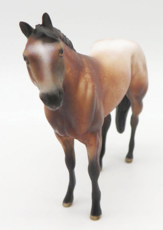 Lucy | StoneHorseRef